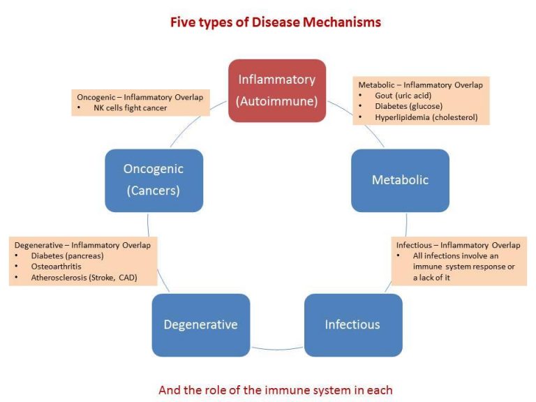 Types of Diseases – Immunocure